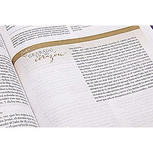 Biblia Reina Valera 1960 de Estudio para mujeres vino tinto-fucsia, símil piel | RVR 1960 Women Study Bible, Burgundy-Fuschia LeatherTouch (Spanish Edition)