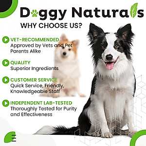 Pet Health Pharma Dog Ear Cleaner Wipes with Aloe and Eucalyptus (100 Count) - Otic Cleanser for Dogs (Made in U.S.A) (100ct Wipes with Aloe & Eucalyptus)