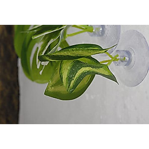 WOLEDOE Reptile Mister and 3Pcs Reptile Plants with Suction Cup, Amphibian Hand Spray Bottle Terrarium Supplies fit Crested Gecko Leopard Lizard Chameleon Ball Python Snake Frog Hermit Crab