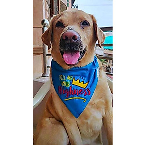 That Dog In Tuxedo Call me Your Highness Dog Bandana/Dog Scarf with Adjustable Dog Collar (Size XL)