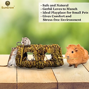 SunGrow Hamster, Gerbil, Leopard Gecko, Hermit Crab Handwoven Seagrass Tunnel Toy, Small Animal Activity Center
