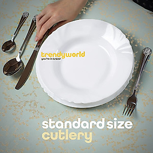 24-Piece Silverware Flatware Cutlery Set, Stainless Steel Utensils Service for 6, Knife/Fork/Spoon, Mirror Polished