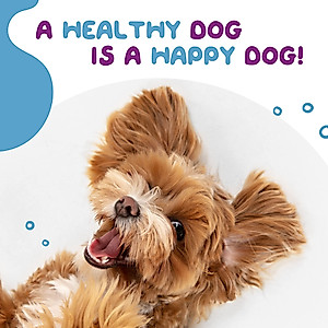 Healthy Dog World Digestive Chews with Enzymes - Probiotics for Dogs - Probiotic for Gut Flora, Digestive Health - Relieves Dogs Diarrhea - Bowel Support - Improves Digestion, Immunity - 120 ct.