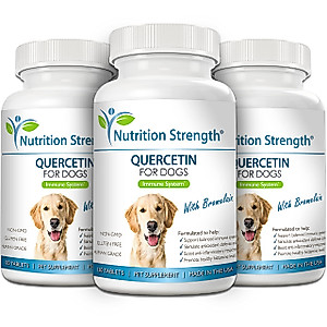 Nutrition Strength Quercetin for Dogs with Bromelain to Support Balanced Immune System, Promote Inflammatory Relief & Antioxidant Activity, Quercetin for Dog Allergies, 120 Chewable Tablets
