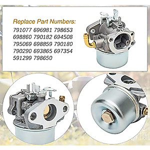 798653 Carburetor for Briggs & Stratton 791077 696981 698860 698474 791991 694174 591299 Craftsman Carb