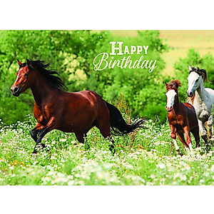 CPG Card-Boxed-Shared Blessings-Birthday Wild Horses (Box of 12)