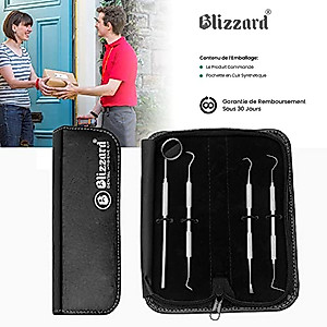 Dental Tools by Blizzard - Plaque Tartar Remover for Teeth - Professional Dental Hygiene Cleaning Kit 4-Pcs, German Stainless Steel Oral Care Set with Dental Pick, Mouth Mirror, Travel Case