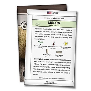 Sow Right Seeds - Cantaloupe Fruit Seed Collection for Planting - Individual Packets Honey Rock, Hales Best and Honeydew Melon, Non-GMO Heirloom Seeds to Plant an Outdoor Home Vegetable Garden