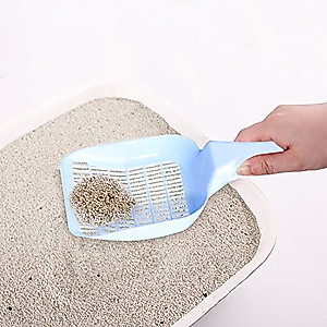 PAWISE Kitty Litter Box Set Includes 4-Pieces - Shallow Cat Litter Pan, Cat Litter Scooper, Cat Bowls, Cat Mouse Toy, 14.5x10.5 Inches, Blue