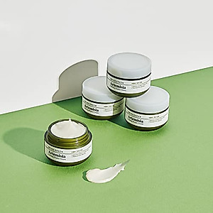 BRING GREEN Artemisia Calming Repair Cream - Daily Skincare Routine for Redness Relief, Soothing Sensitive, Irritated Skin with Salicylic Acid 2.53 fl.oz, 75ml