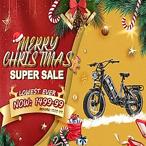 eAhora Juliet 60AH 1000W Electric Bike for Adults, 140 Miles+ Long Range Electric Bike, 20 * 4.0 Fat Tire Electric Mountain Bike, Longer Trip, Commuting, Delivery
