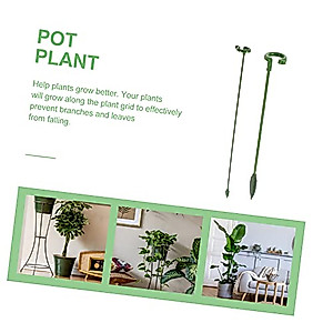 Succulants 20pcs Border Ring Trellis Lily Support Plant Tools Stem Amaryllis Fiberglass Fruits Hydrangea Orchid/Single Holders Stand Outdoor Rack Stake Rose Bonsai Flowers Vine