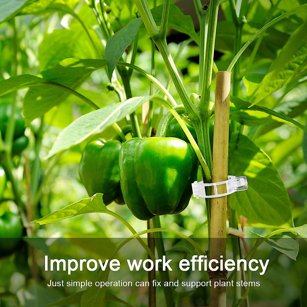 200PCS Plant Support Garden Clips, Vegetable Tomato Supports Trellis Clip Tape for Climbing Crop Vine Twine String Cage Ties Stakes, Grow Strawberry Rose Grape Cucumber Orchid Pea Pothos Melon Tree