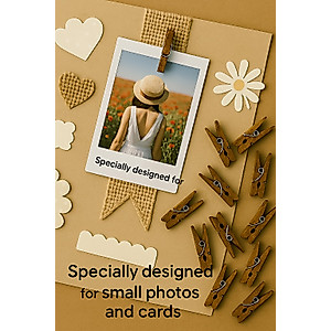 LWR CRAFTS Wooden Mini Clothespins 100 Per Pack 1" 2.5cm (Jacobean)