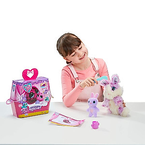 Little Live Scruff-A-Luvs Pets | Scruff-a-Luvs Mystery Animal Mom & Baby | Reveal, Wash, Groom, Rescue Plush Pet - Styles May Vary, Multicolor, 30111