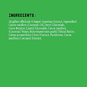 Alaffia EveryDay Coconut Shampoo, Hydrating and Deep Cleansing for Normal to Dry Hair. Made with Fair Trade Coconut Oil and Ginger, Cruelty Free, No Parabens, Vegan, Coconut Lime 32 Fl Oz