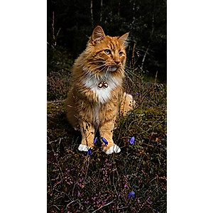 Beau's Bells 2 Extra Loud Cat & Dog Bells | Pet Tracker | Save Birds & Wildlife | Luxury Handmade Copper (Small)