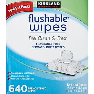 Kirkland Signature Kirkland signature moist flushable wipes 632 wipes, 632 count, White
