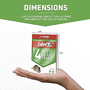 MOUSE GLUE TRAP PRO 4PK