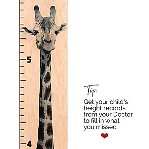 HEADWATERS STUDIO Wooden Ruler Growth Chart for Kids, Boys & Girls - Height Chart & Height Measurement for Wall - Kids Nursery Wall Decor & Room Hanging Wall Decor - Giraffe Theme - Natural