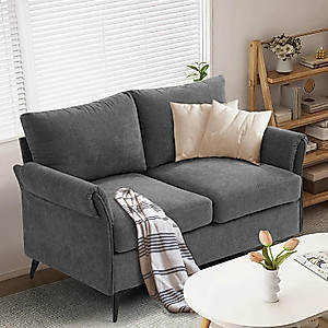 LEISLAND 50" Small Couches for Small Spaces, Modern Sofa Loveseat for Living Room, Fabric Sofas Couch with 2-Seater, Solid Wood Frame, Removable Low-Back Cushion,Easy to Install(Dark Grey)