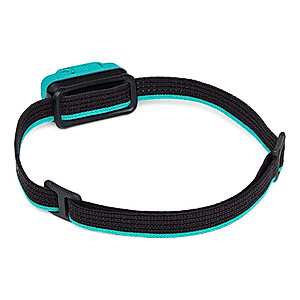 Black Diamond Equipment - SpotLite 200 Headlamp - Aqua