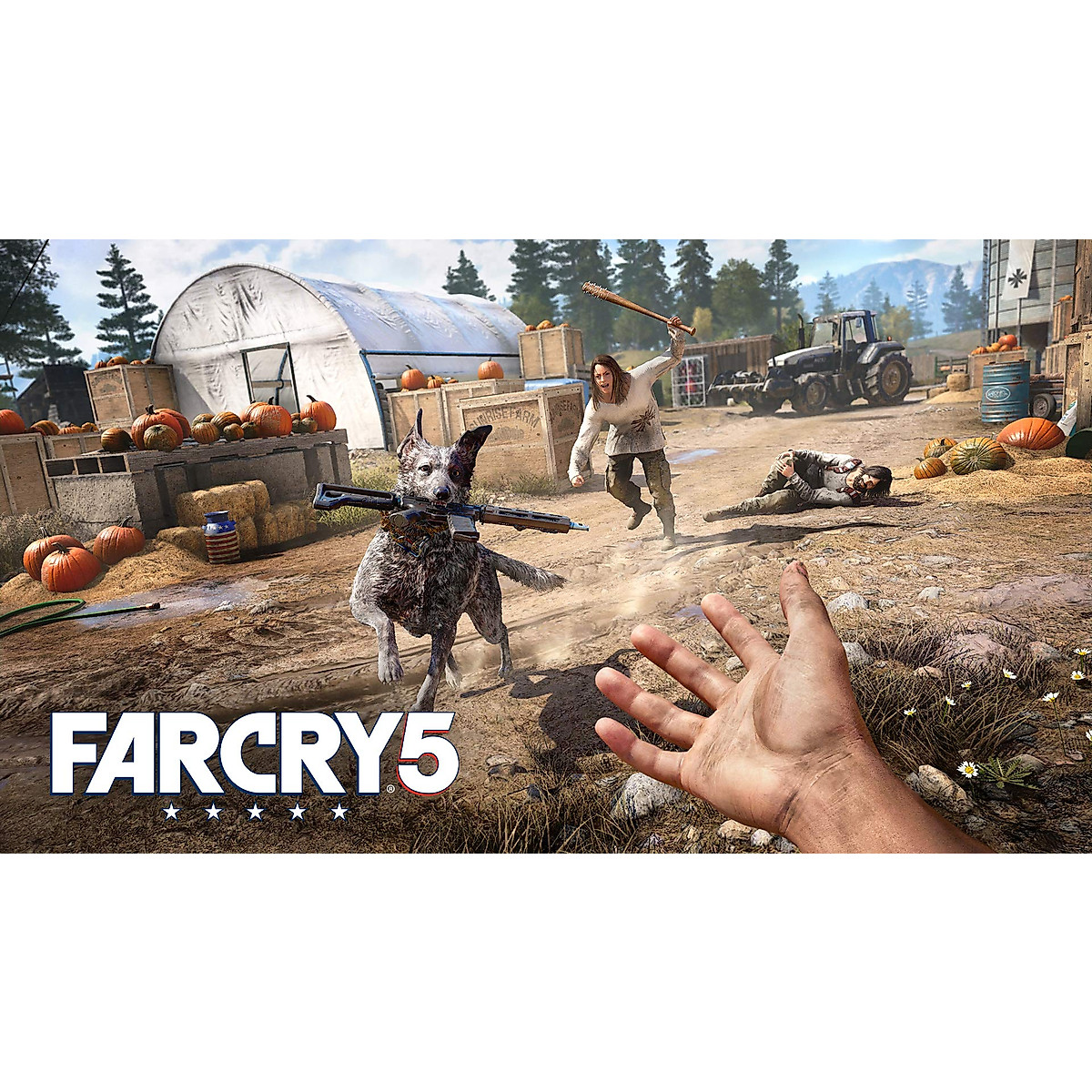 Far Cry 4 + Far Cry 5 (PS4)