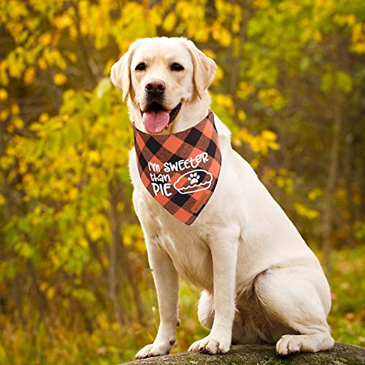 ADOGGYGO Thanksgiving Dog Bandanas, Orange Plaid Pet Scarf, Premium Cotton Fabric, Multiple Sizes Offered, Fall Thanksgiving Bandanas for Small Medium Dogs Pets (Small, Thanksgiving)