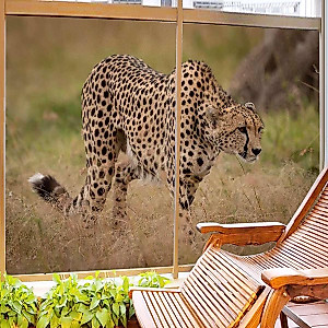Window Film Privacy Window Film Frosted Glass Film No Glue Static Cling Glass Film Window Sticker for Bathroom Bedroom Living Room Leopard Cheetahs Mountain Scenery 27.6Wx39.4L-inch x2 Pcs