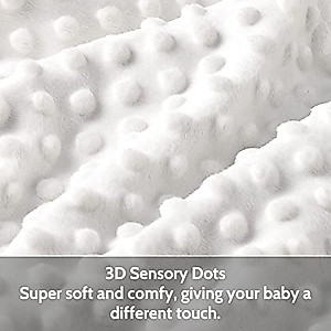 Baby Mink Blankets, Dinosaur Toddler Blanket for Boys Girls, Soft Newborn Blanket with Dotted Backing, Double Layer, Crib Receiving Blanket for Nursery, Shower Gifts, 30 X 40 Inches