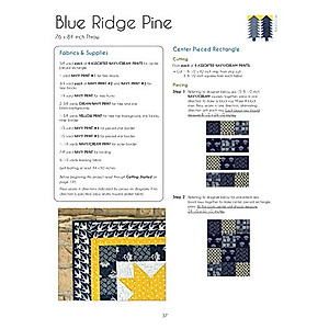 Thimbleberries Quilts with a New Attitude: 23 Tried and True Quilt Designs Made in Both Traditional and Modern Fabrics (Landauer) Quilting Projects for Either Classic Colors or Cotton+Steel Fabrics