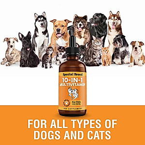 10-in-1 Liquid Multivitamin for Dogs and Cats, 4 Ounce Multi Vitamin Supplement, Vitamin for Dogs, Vitamins for Cats, with Glucosamine & Cranberry, 4 oz