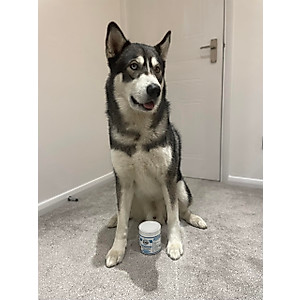 Pet Hip & Joint Supplements - Krill Oil and Glucosamine for Dogs Soft Chews, Joint Supplement for Dogs with Krill Oil,Glucosamine, Chondroitin, MSM, Turmeric, Anti Inflammatory, Mobility (Beef 90ct)