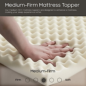 Treaton 1-inch Medium Firm Foam Toppers with Convoluted Egg Shell Design | Extends Mattress Topper Life, Provides Proper Back Support and Relieves Pain, Improves Better Posture, Twin, Off-White