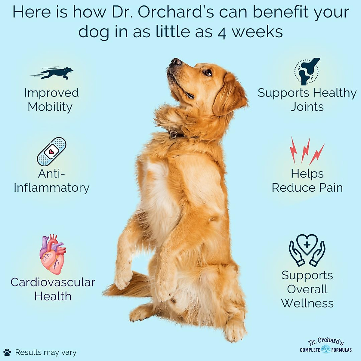 Dr. Orchard's Advanced Hip & Joint Chews - Duck Flavor- (60ct) Pain & Inflamation Relief with Glucosamine, Manganese, Chondroitin, MSM - Dog Chewable Supplement (60 Count)