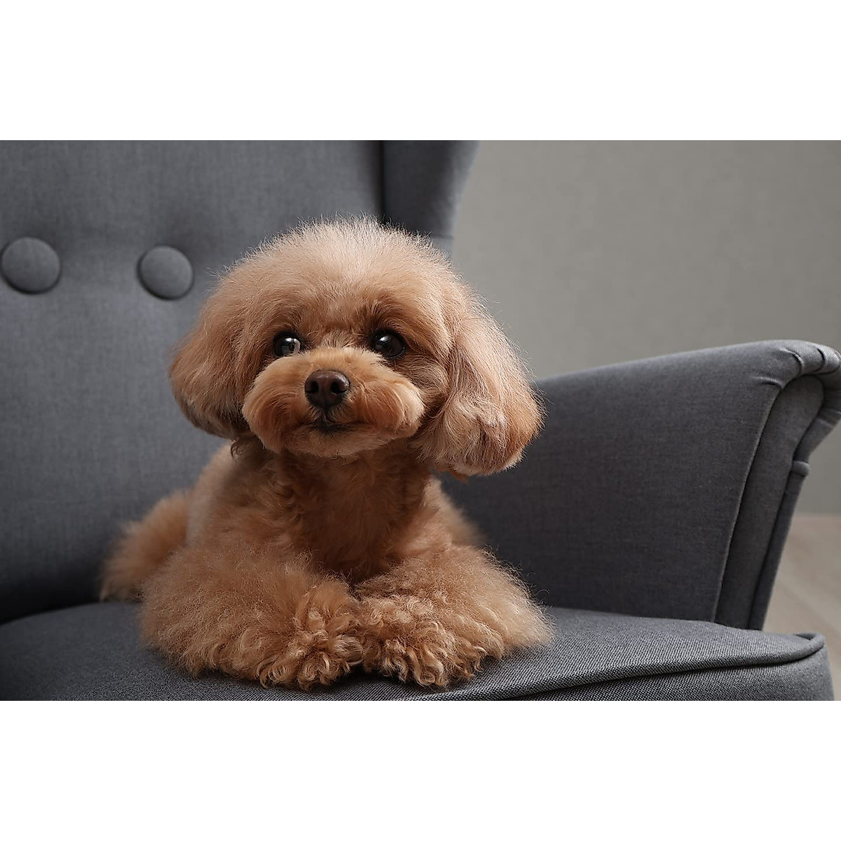 Canon RF-S 18-45mm f/4.5-6.3 is STM Lens