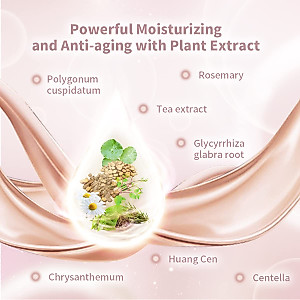 Catkin Blossom BB Cream Air Cushion Foundation Natural Coverage Moist Glowy Finish Breathable Face Makeup with 2 Refills Beige (C01 Ivory Light)