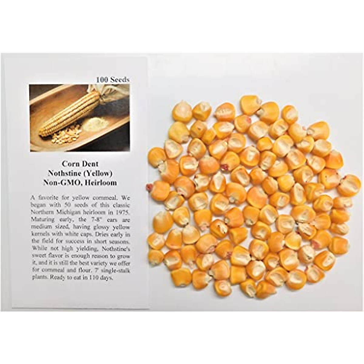 David's Garden Seeds Corn Dent Nothstine FBA-9335 (Yellow) 100 Non-GMO, Heirloom Seeds