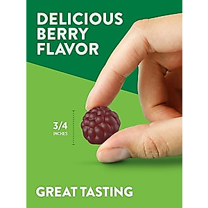 Nature's Truth Black Elderberry Gummies | 50 Vegan Gummies | with Vitamin C and Zinc | Berry Flavor | Vegan, Non-GMO, and Gluten Free Supplement