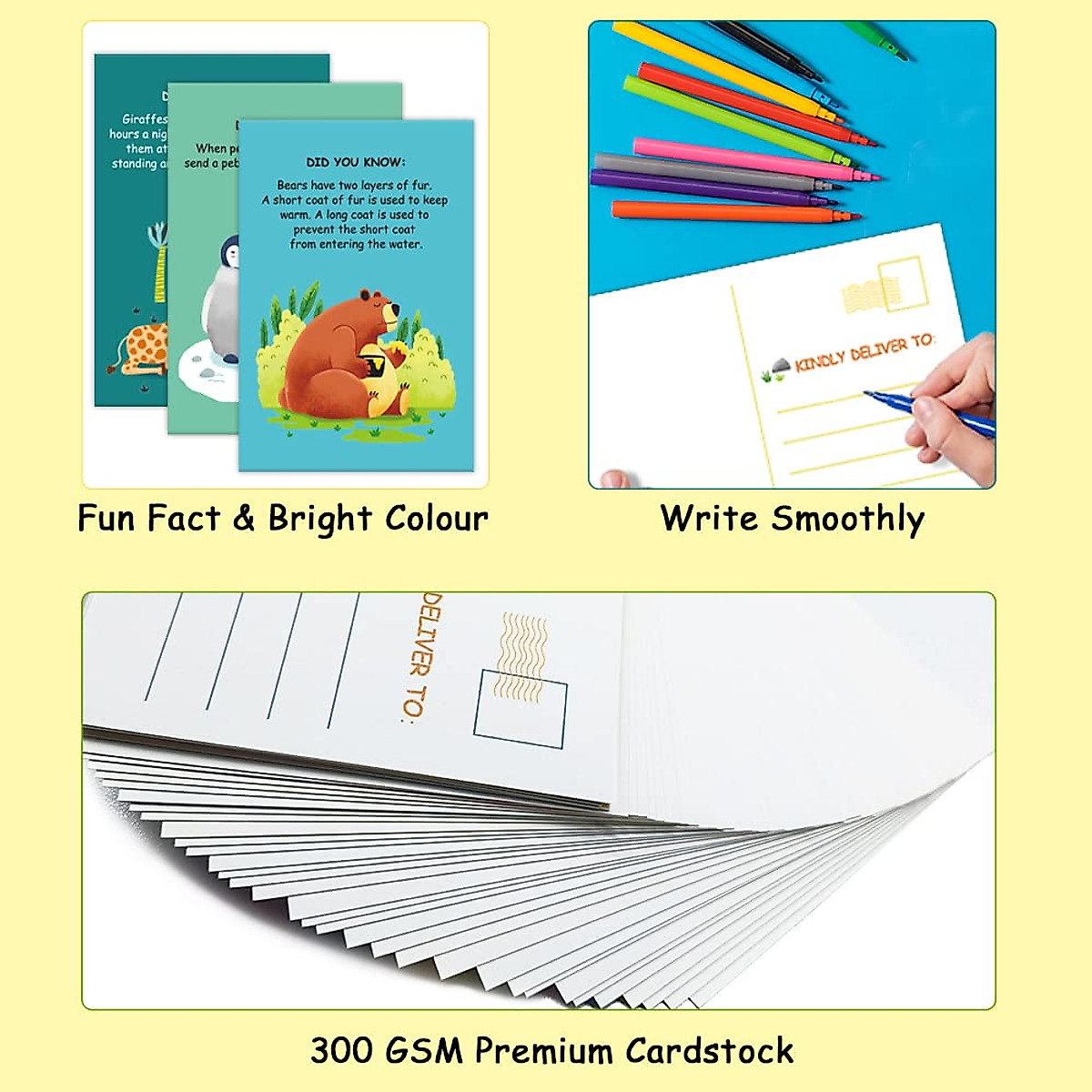 40 Pack Animal Fun Fact Postcards for Kids 4” x 6” Animal Greeting Cards Animal Knowledge Cards Animal Thank Note Cards Funny Cards Pack for Students, Friends and more