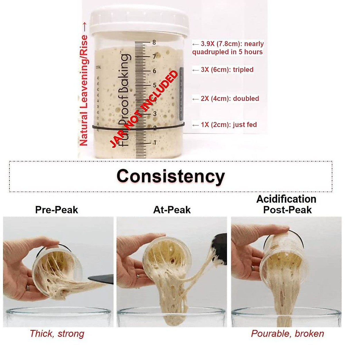 Fresh Sourdough Starter