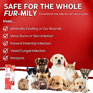 PoviGel Dog Wound Care Ointment, Fast Absorption Rapid Healing Pain & Itch Relief, Dog Ear Infection Treatment, Yeast Infection Treatment for Dogs & Cats, Povidone-Iodine 3% for Pets, Hot Spots