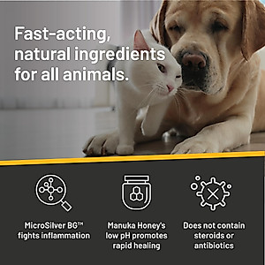 Absorbine Silver Honey Hot Spot & Wound Care Ointment 2oz Tube, Manuka Honey & MicroSilver BG, Medicated for Dogs, Cats, Small Animals