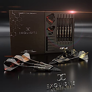 CC-Exquisite Professional Steel Tip Darts Set - 6 x 22g Brass Barrels with 12 Flights Standard/Slim, 12 Aluminum Shafts 35/48mm, 12 O-Rings, Dart Tool, Dart Sharpener and Case (Black & Gold)