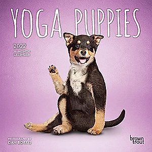 Yoga Puppies OFFICIAL 2022 7 x 7 Inch Monthly Mini Wall Calendar, Animals Humor Puppy Dogs Canine