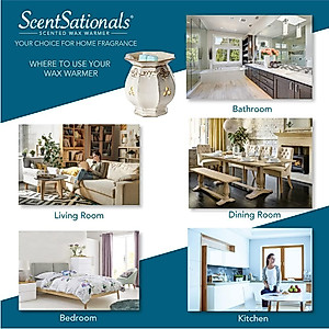 Scentsationals Wax Melts, Wax Cubes Strong Scent - Girlfriend Night - Long Lasting Scented Wax Melts for Warmer, 2.5 oz (6 cubes)