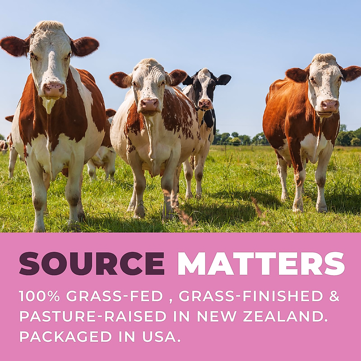 Beef Organ Supplement for Women - Beef Liver, Kidney, Heart and Uterus Tissue, Supports Women's Overall Energy and Health - Pasture Raised in New Zealand - No Fillers or Flow Agents - 120 Capsules