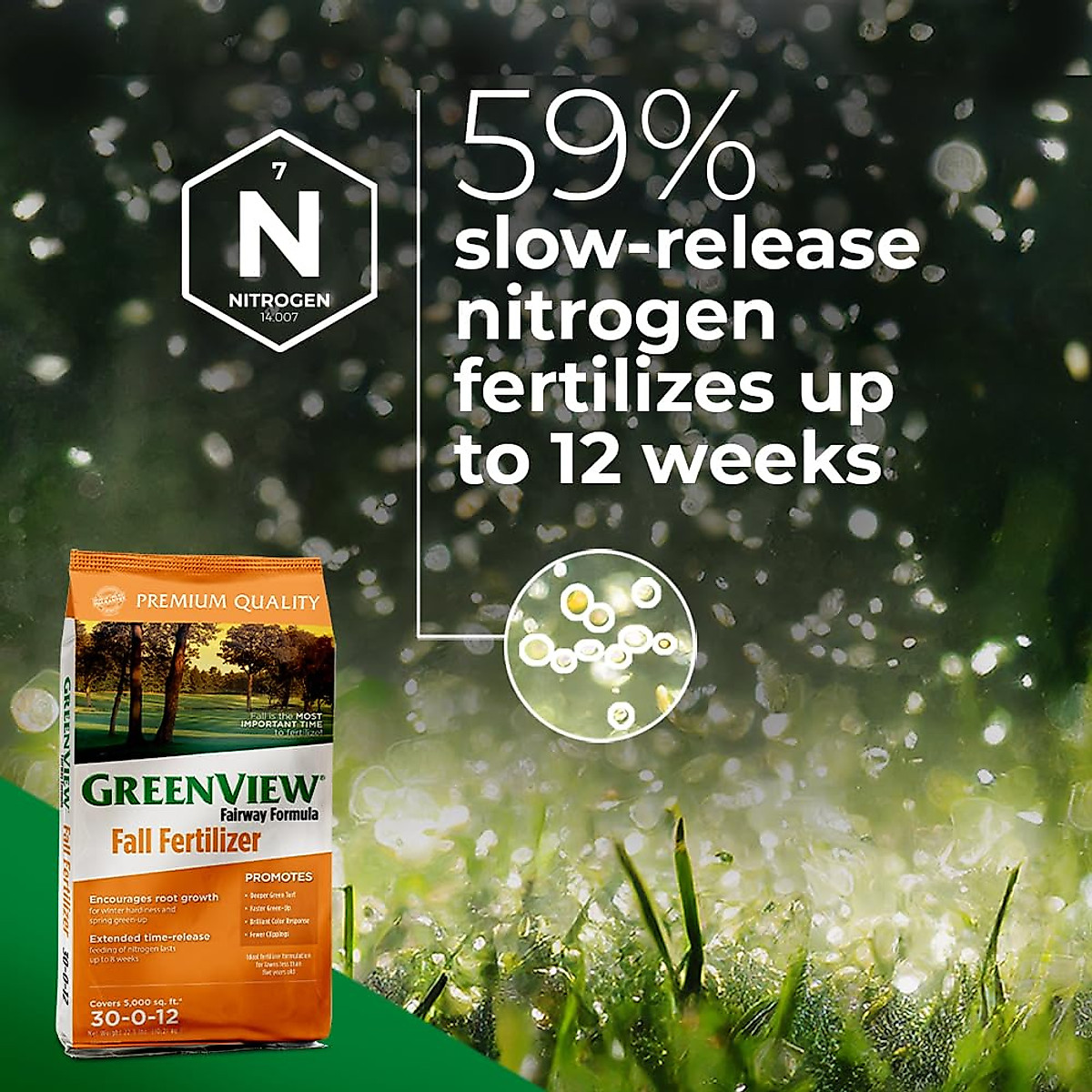 Greenview Fairway Formula Fall Lawn Fertilizer - 22.5 lb. Bag - Covers 7,500 Sq. Ft.