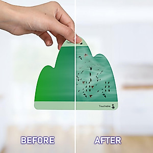 CritterTec Fly Traps, Rechargeable Battery Operated Flying Insect Trap for Indoor and Outdoor Use, 2 Pack Gnat Killer Traps with Customizable Bait and 10 Sticky Boards