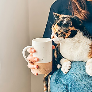 Mora Ceramics 12oz Coffee Mug Set of 4 - Ceramic Tea Cups with Handle - Microwave and Dishwasher Safe, Perfect For Cup or Mug Lovers - Rustic Matte Glaze, Modern Design Mugs - Petro